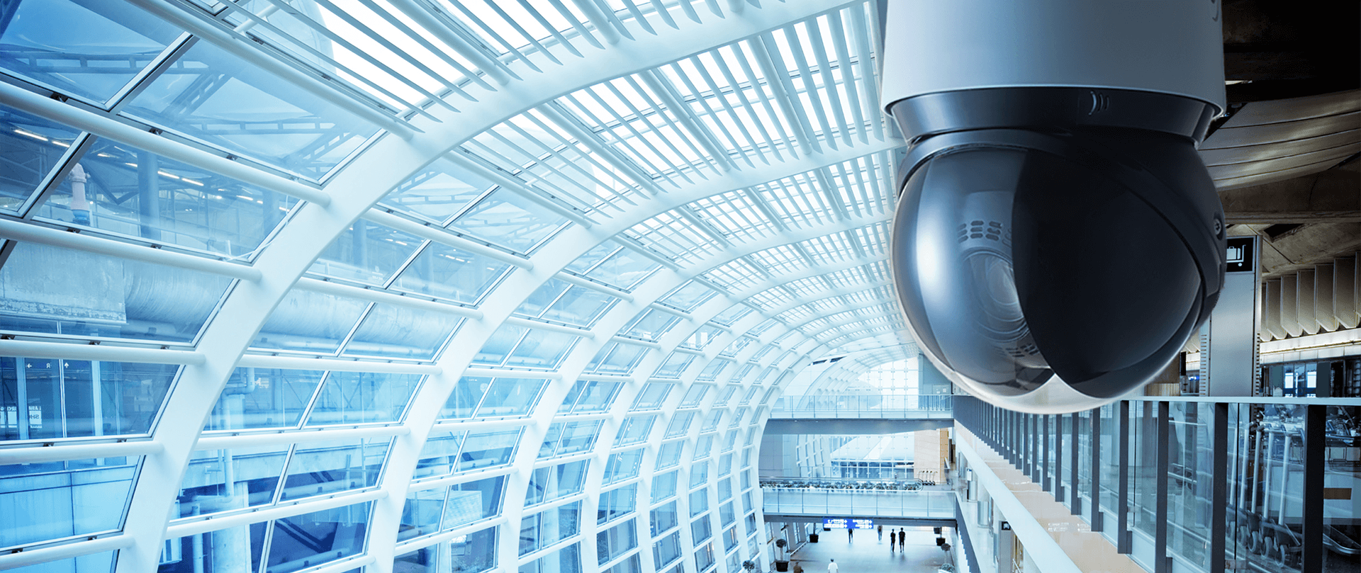 Electronic Security - Wittenbach